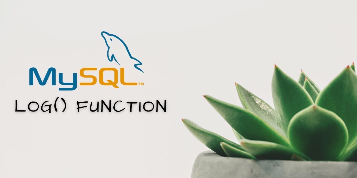 MySQL LOG With Practical Examples MySQLCode